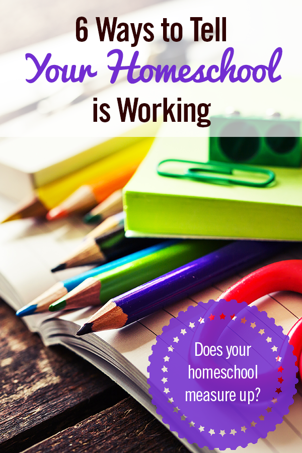 6 Ways to Tell Your Homeschool is Working - Well Planned Gal