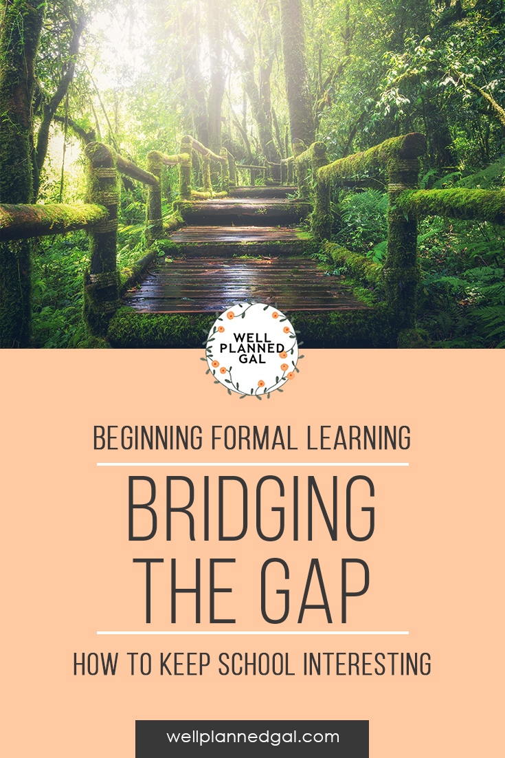 Bridging the Gap: Beginning Formal Learning - Well Planned Gal